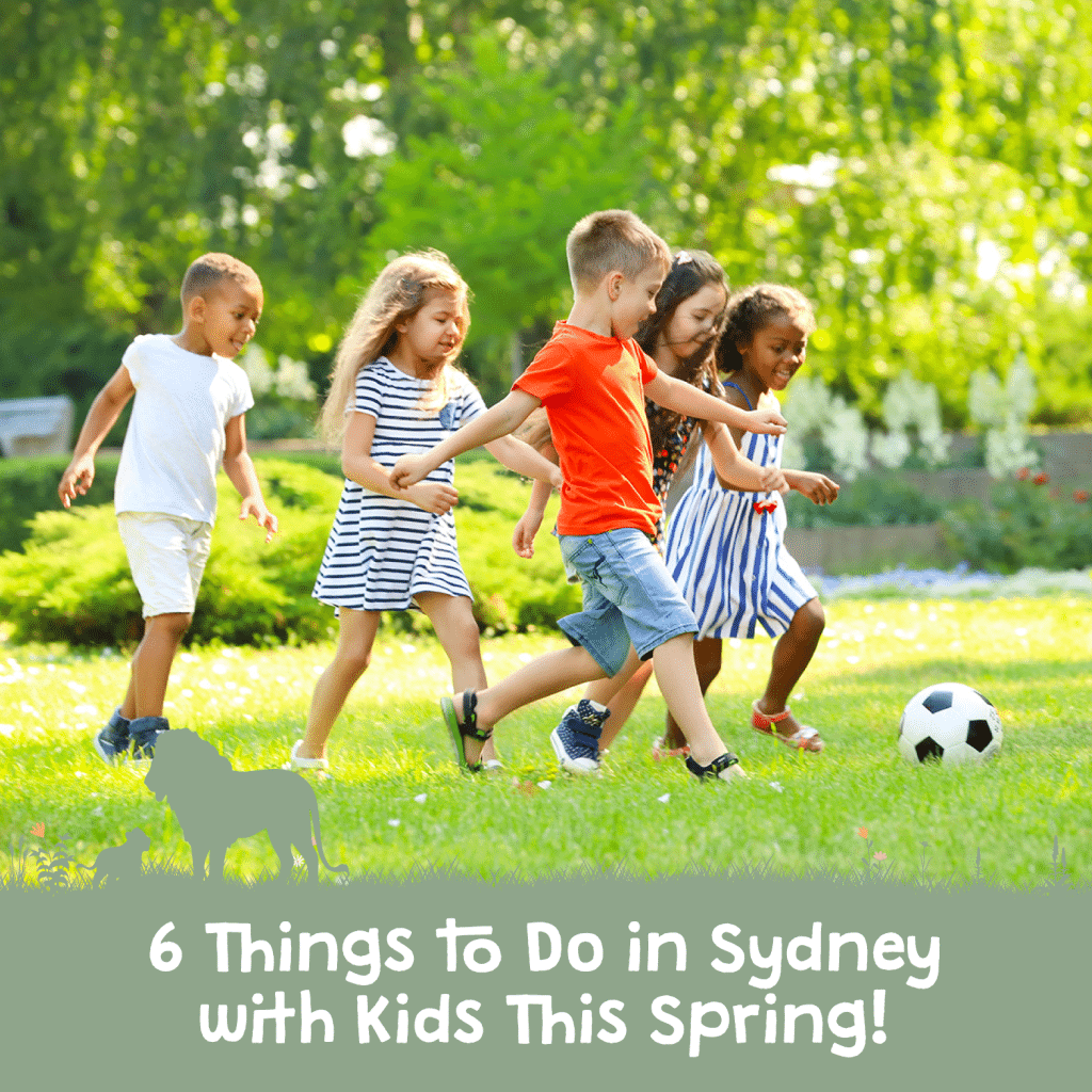 6 Things to Do in Sydney with Kids This Spring! - Little Leo's Childcare